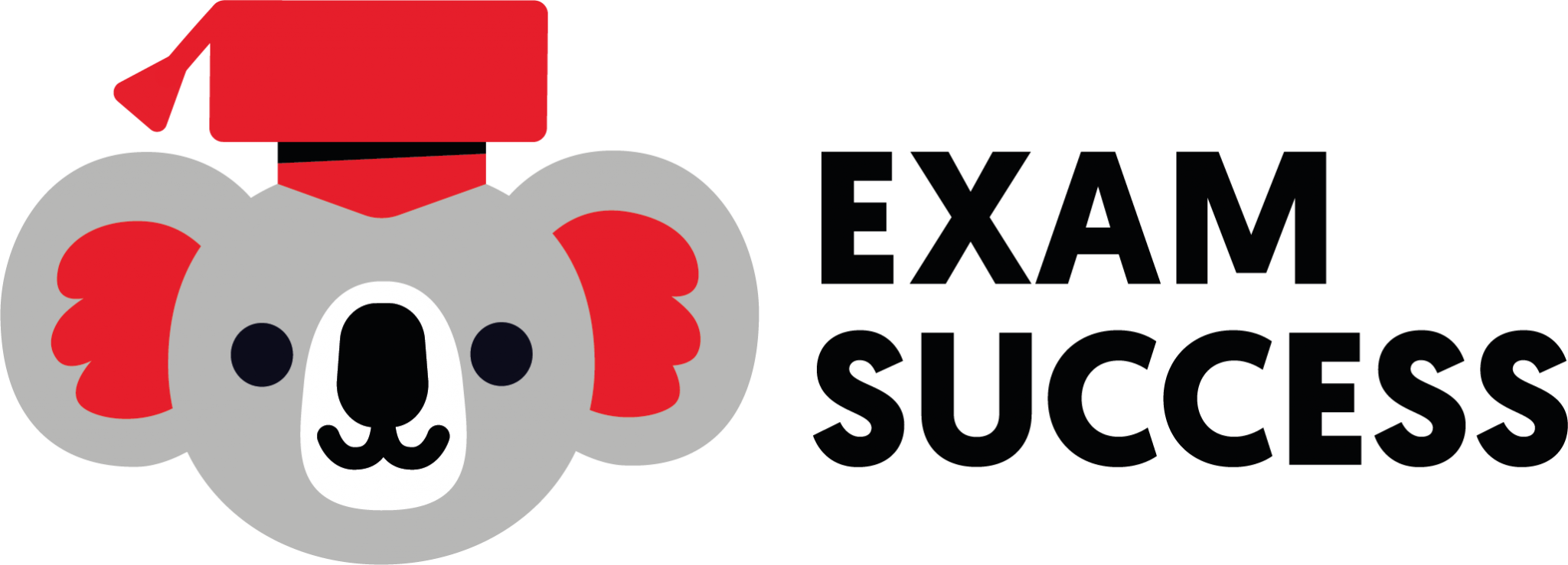 Exam Success Logo - Debating SA Incorporated